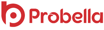Digital Marketing Agency Miami | Digital Marketing Company | Probella